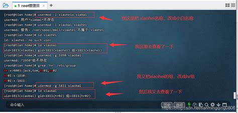 创建用户组，查看用户组，修改用户组 android 自定义具有root权限的用户和用户组 csdn博客