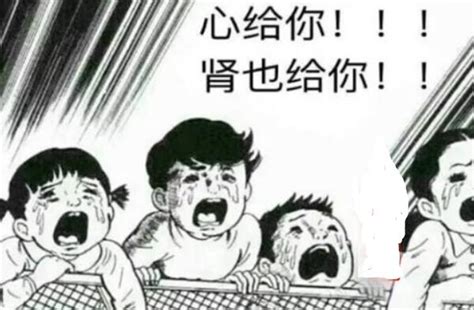 dp是什么意思网络术语饭圈带领粉丝围攻黑粉 小狼观天下