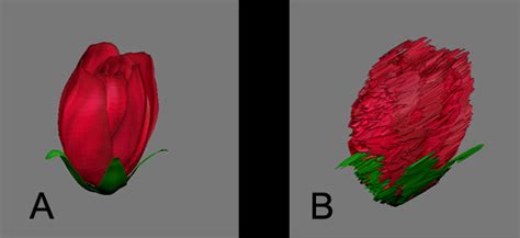 Mesh Getting Distorted Zbrushcentral