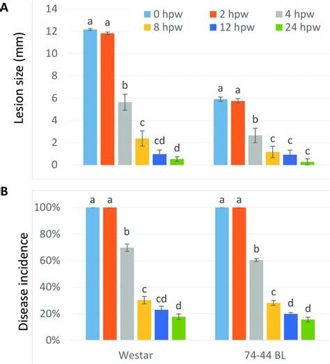 Lesion Size A And Disease Incidence B Caused By The Inoculation Of Download Scientific