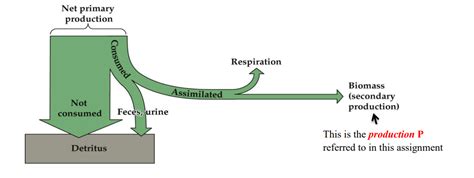 Solved Please Answer Assignment Calculate Assimilation Chegg