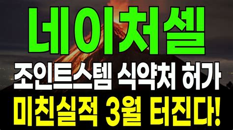 네이처셀 주가전망 식약처 조인트스템허가 연내 나온다첨생법시행 일본 고관절 치료 3월 스타트넘치는 재료당장 사라 네이처셀전망 줄기세포관련주 네이처셀 주가