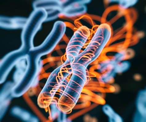 microarray services molecular genomics pte ltd