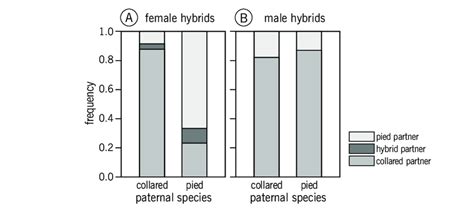 1 Mating Patterns Of Hybrid Flycatchers Female Hybrids A Download Scientific Diagram