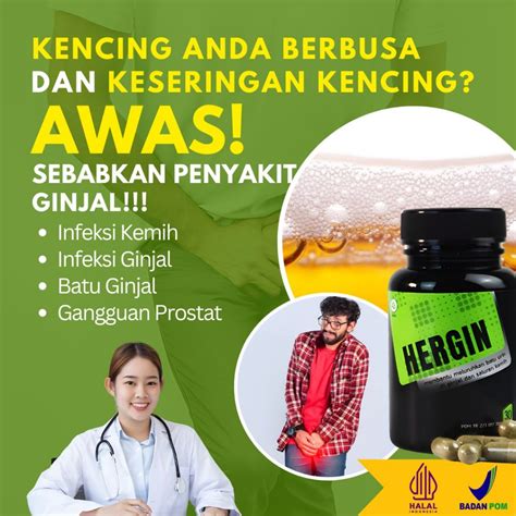 Jual Hergin Herbal Suplemen Kesehatan Bantu Meluruhkan Batu Ginjal