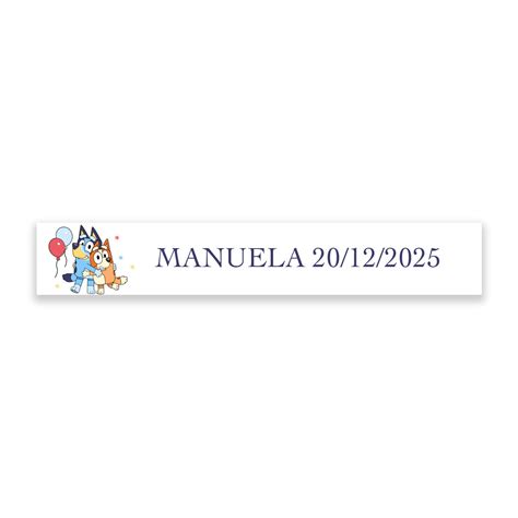 Adhesivo Bluey Y Bingo 5 X 1 Para Personalizado