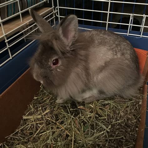 Reddit Dive Into Anything