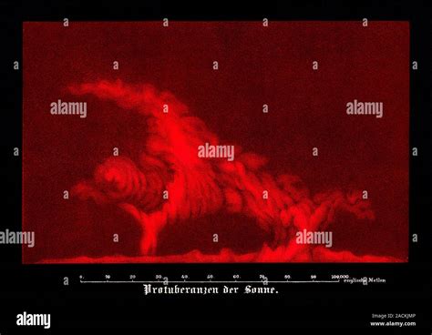 Solar Prominences 19th Century Artwork Of Solar Prominences Based On