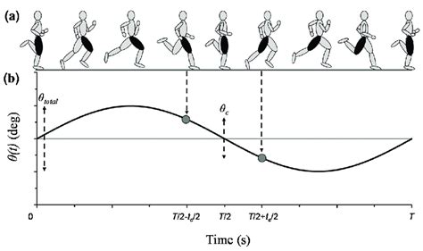 Leg Angular Motion During The Gait Cycle A Simplified Illustration