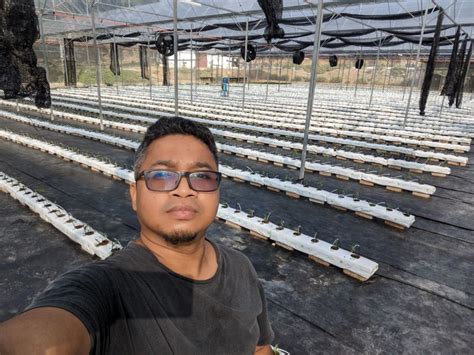 Ts Muhammad Shafiq Saari On Linkedin The First Greenhouse Already Started Their Chili Plant