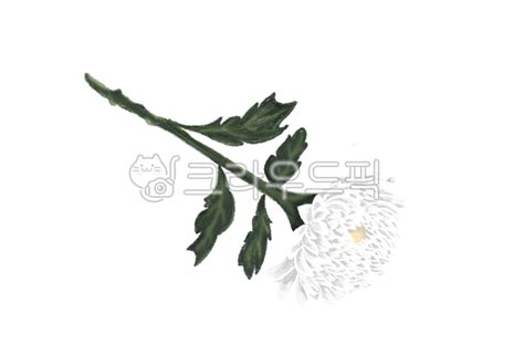 Korean Flower에 있는 핀