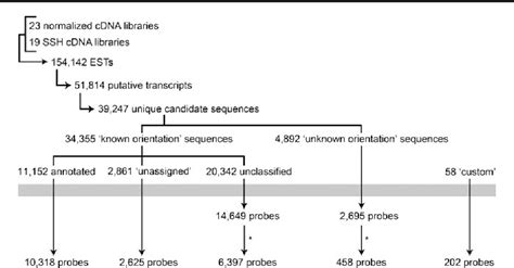 Figure 1 From Edinburgh Research Explorer Development And Experimental Validation Of A 20k