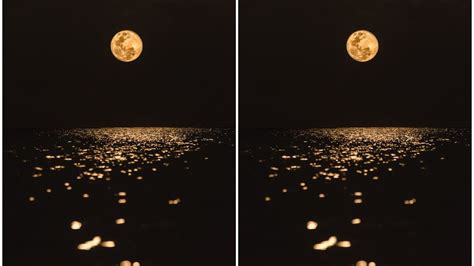 Wrze Niowa Pe Nia Ksi Yca Papilot