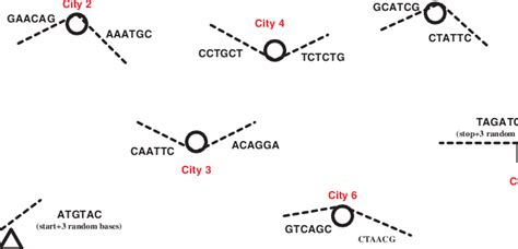 Coding For The Seven Cities Of The Hpp Problem Download Scientific
