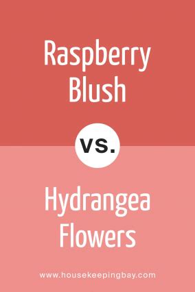 Raspberry Blush By Benjamin Moore Housekeepingbay