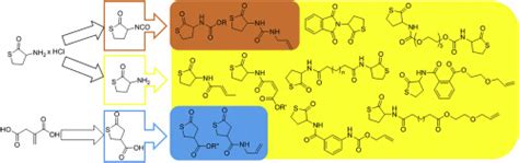 硫代内酯结构单元的合成作为可持续功能材料的潜在前体 Tetrahedron X Mol
