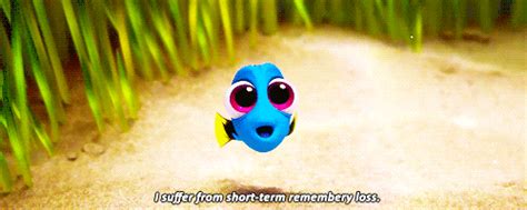 Dory Memory 