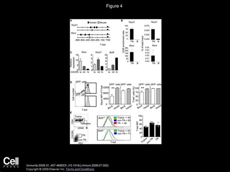 Volume 31 Issue 3 Pages September 2009 Ppt Download