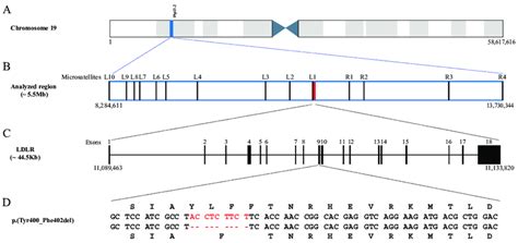 Schematic Representation Of I The Genomic Location Of The Analysed