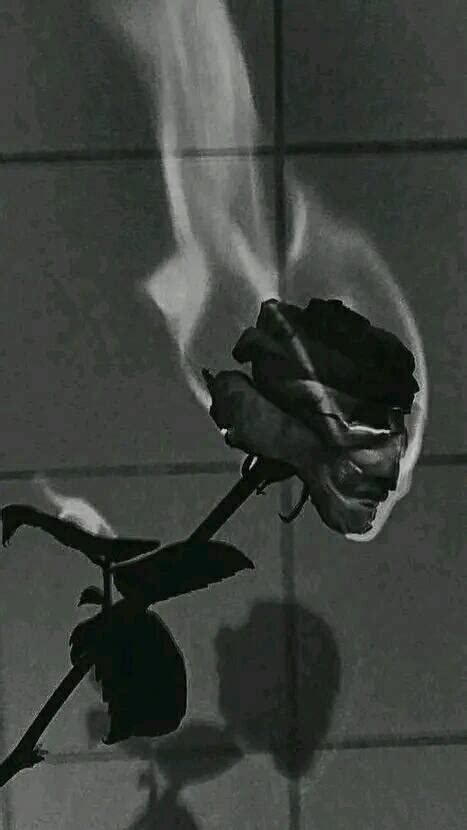 Anthony Grita Badillo