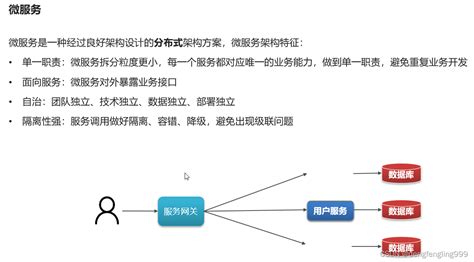 黑马学springcloud：微服务and服务拆分 spring cloud 项目 模块 划分 csdn博客
