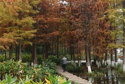 国家湿地公园重庆彩云湖景色如画 极目新闻