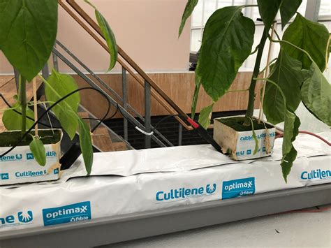 Greenhouse Projects Sensors And Probes