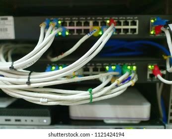 Network Switch Ethernet Cables Stock Photo Shutterstock