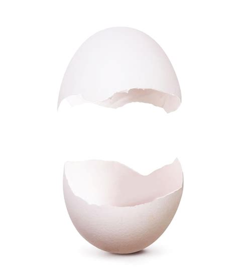 Premium Photo Egg Shell