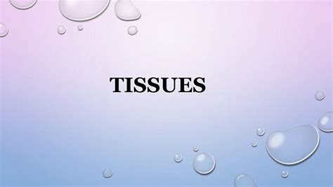 Tissues Anatomy And Physiology Lecture Ppt Ppt