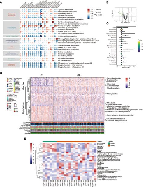 Figure 1 From Integrating Bulk And Single Cell Rna Sequencing Data Reveals The Relationship