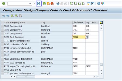 SAP FICO Assign Company Code To Chart Of Account