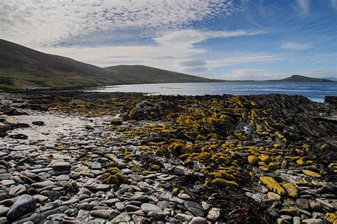 카커스 섬 이미지 스톡 사진 및 일러스트 Istock