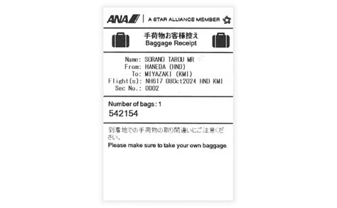 Ana Baggage Drop（自動手荷物預け機）のご案内（日本国内線） Ana
