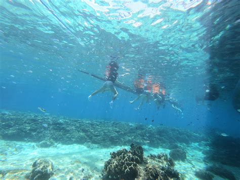 보라카이 미스터 크리스탈 레드 호핑투어 크리스탈코브 바베큐 뷔페 카와스파 스노클링