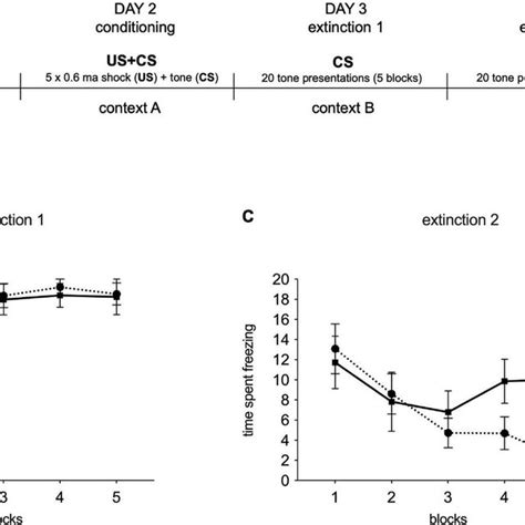 Fear Conditioning Behavioral Results During The Extinction Recall