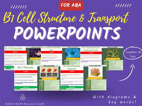 Aqa Gcse New Specification B1 Cell Structure And Transport Complete Pp Unit Teaching Resources