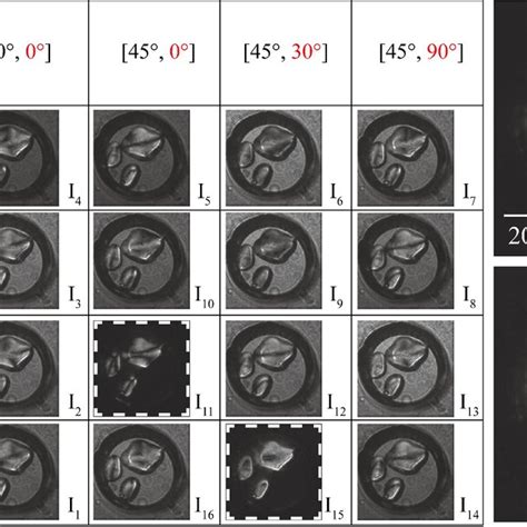 Optical Configuration For The Mueller Matrix Polarization Imaging System Download Scientific