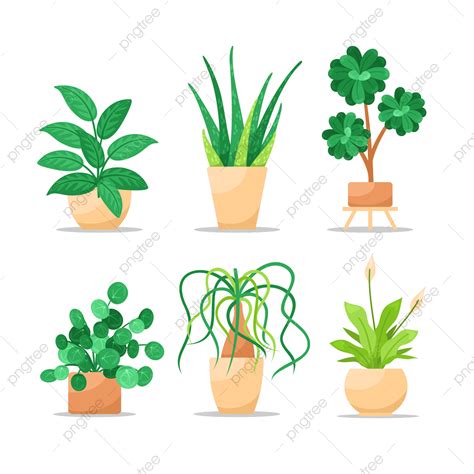 손 으로 그린 식물 분재 분재 벡터 만화 삽화 손으로 그린 장식 패턴 만화 Png 일러스트 및 벡터 에 대한 무료 다운로드 Pngtree
