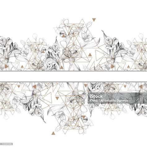 꽃과 기하학 경계선과 릴리악과 삼각형 손으로 그린 선 아트 일러스트 레이 션 0명에 대한 스톡 벡터 아트 및 기타 이미지 0명 건축물 겨울 Istock