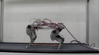 Quadruped Robot Code