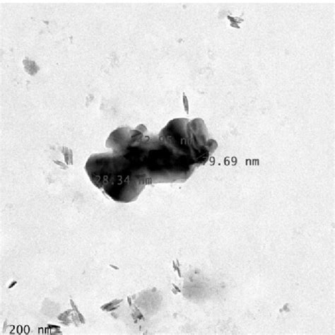 Scanning Electron Microscope Micrograph Of The Synthesized Nanoparticle