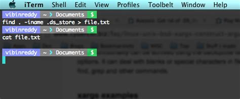 Asepsis Get Rid Of DS Store Files On OS X