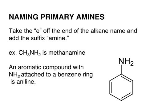 PPT AMINES AND AMIDES PowerPoint Presentation Free Download ID