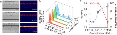 the effect of particle concentration on 3d focusing a single