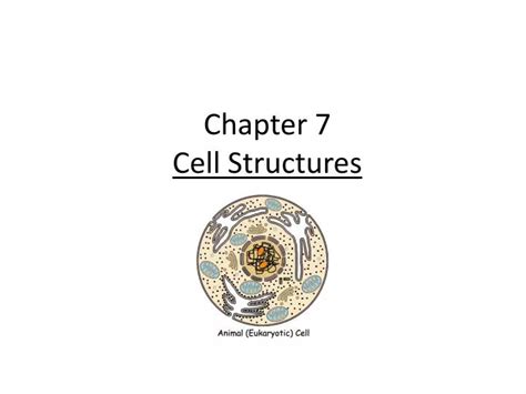 PPT Chapter Cell Structures PowerPoint Presentation Free Download ID