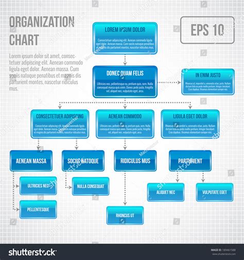 Organizational Chart Infographic Business Structure Concept Stock Vector Shutterstock