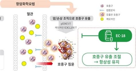 글로벌 8조 시장 잡아라호중구감소증 치료제 시장에 출사표 던진 K바이오 글로벌 8조 시장 잡아라호중구감소증 치료제 시장에 출사표 던진 K바이오