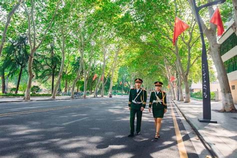 在武汉最美的十条林荫道 邂逅十位绝色佳人 景点推荐 旅游攻略