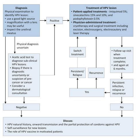 Urological Infections The Guideline Uroweb